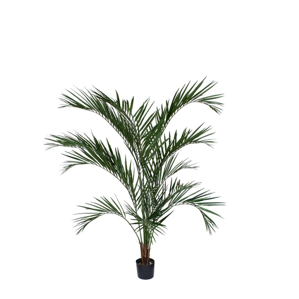 P1648 - Amazing Green Inc.
