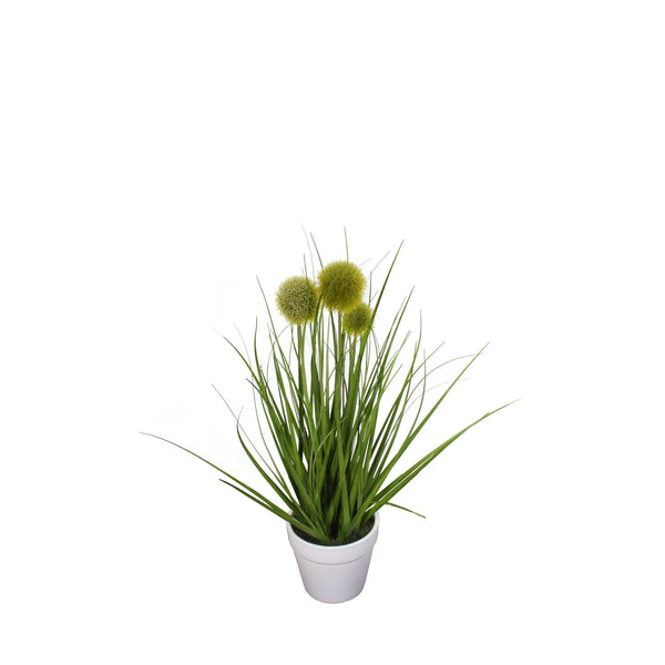 P1584 - Amazing Green Inc.