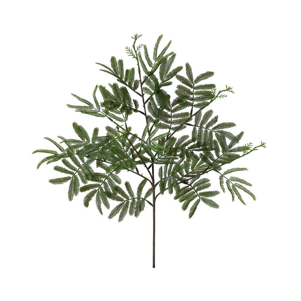 P2805 - Amazing Green Inc.